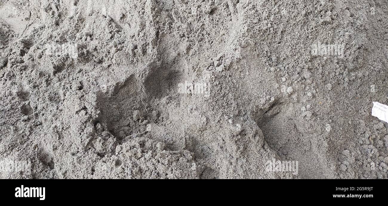 Puratchi Thalaivar Dr MGR Central railway station Chennai , India Stock ...