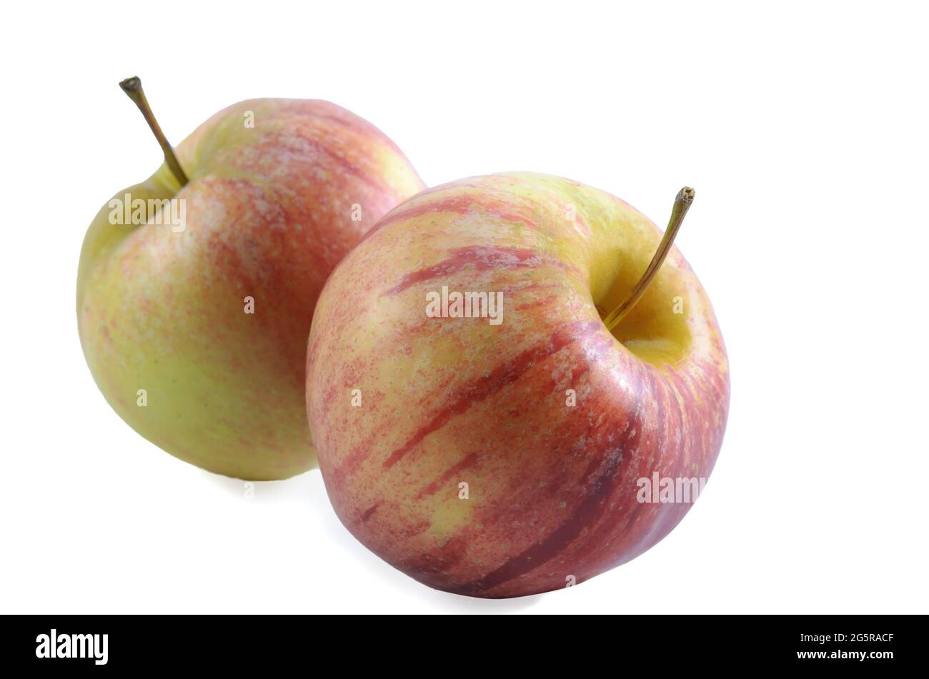 fruits of apples on a white background, blank for your photo ...