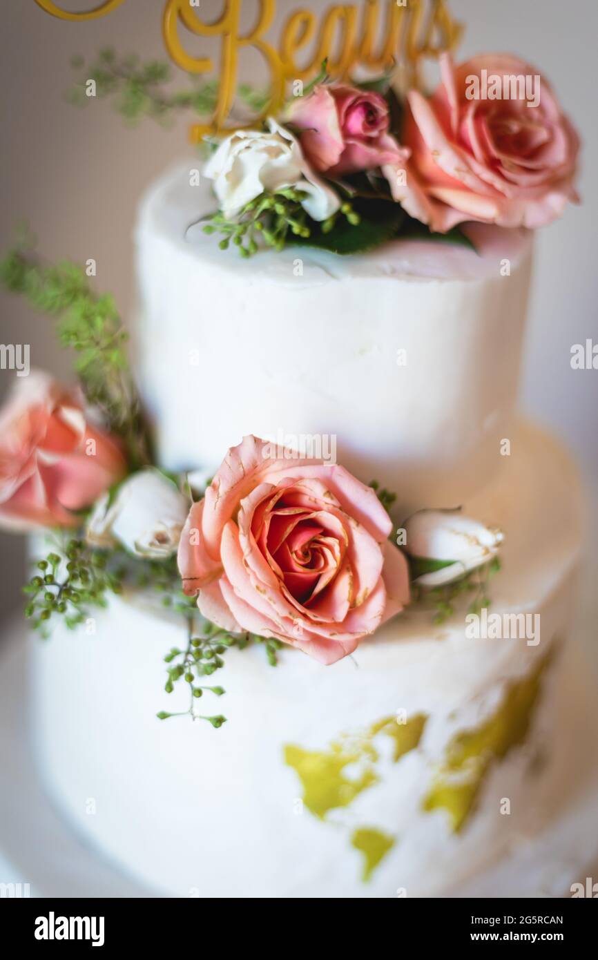 Gorgeous custom travel themed wedding cake with edible world map, pink ...