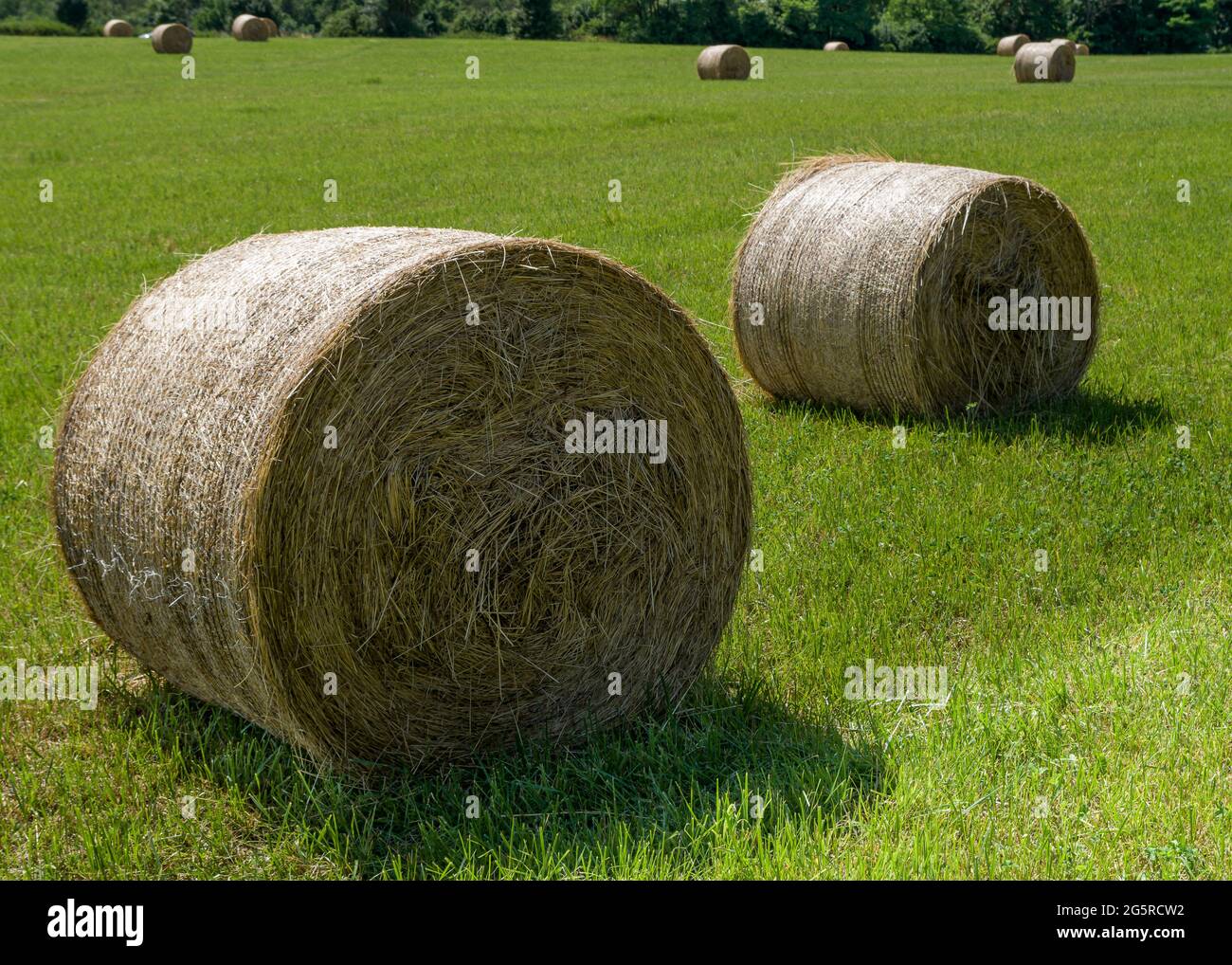 Pick up pair hi-res stock photography and images - Alamy