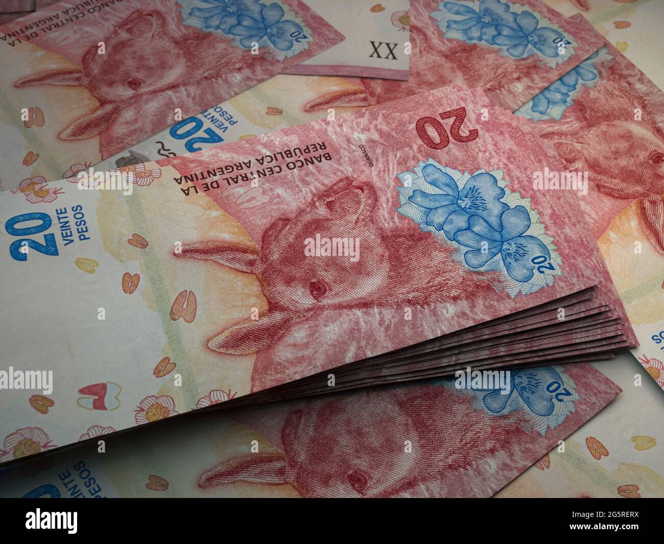 Money of Argentina. Argentine peso bills. ARS banknotes. 20 pesos ...
