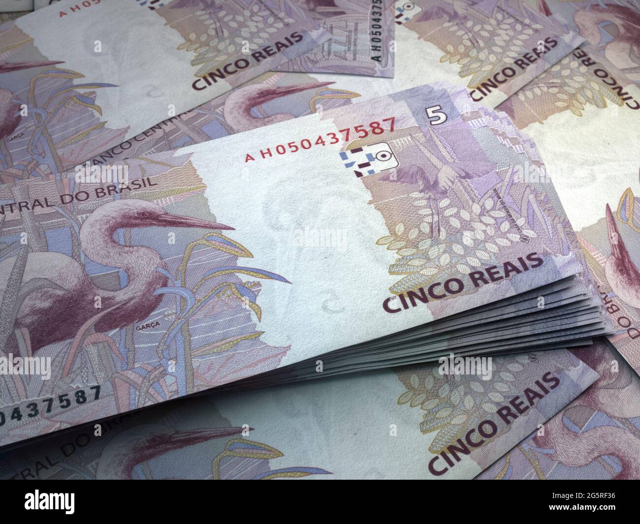 Money of Brazil. Brazilian real bills. BRL banknotes. 5 reals. Business ...