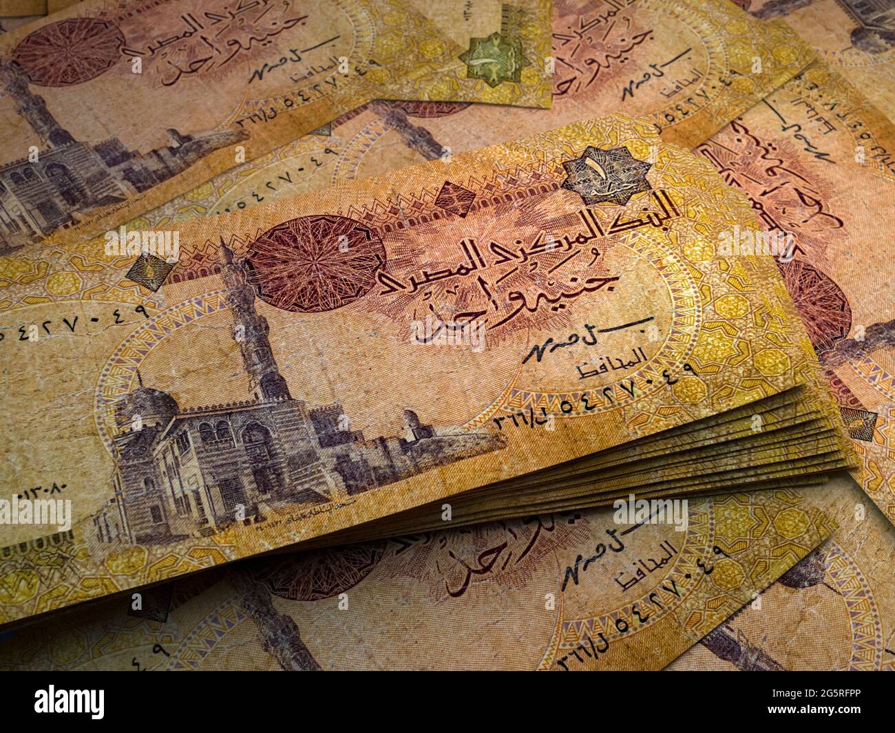 Money of Egypt. Egyptian pound bills. EGP banknotes. 1 pounds. Business ...