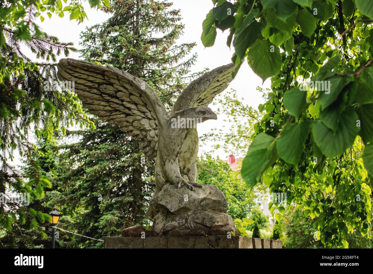 White eagle statue among green tree branches Stock Photo - Alamy