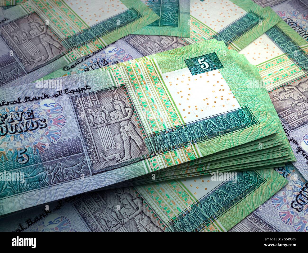 Money of Egypt. Egyptian pound bills. EGP banknotes. 5 pounds. Business ...