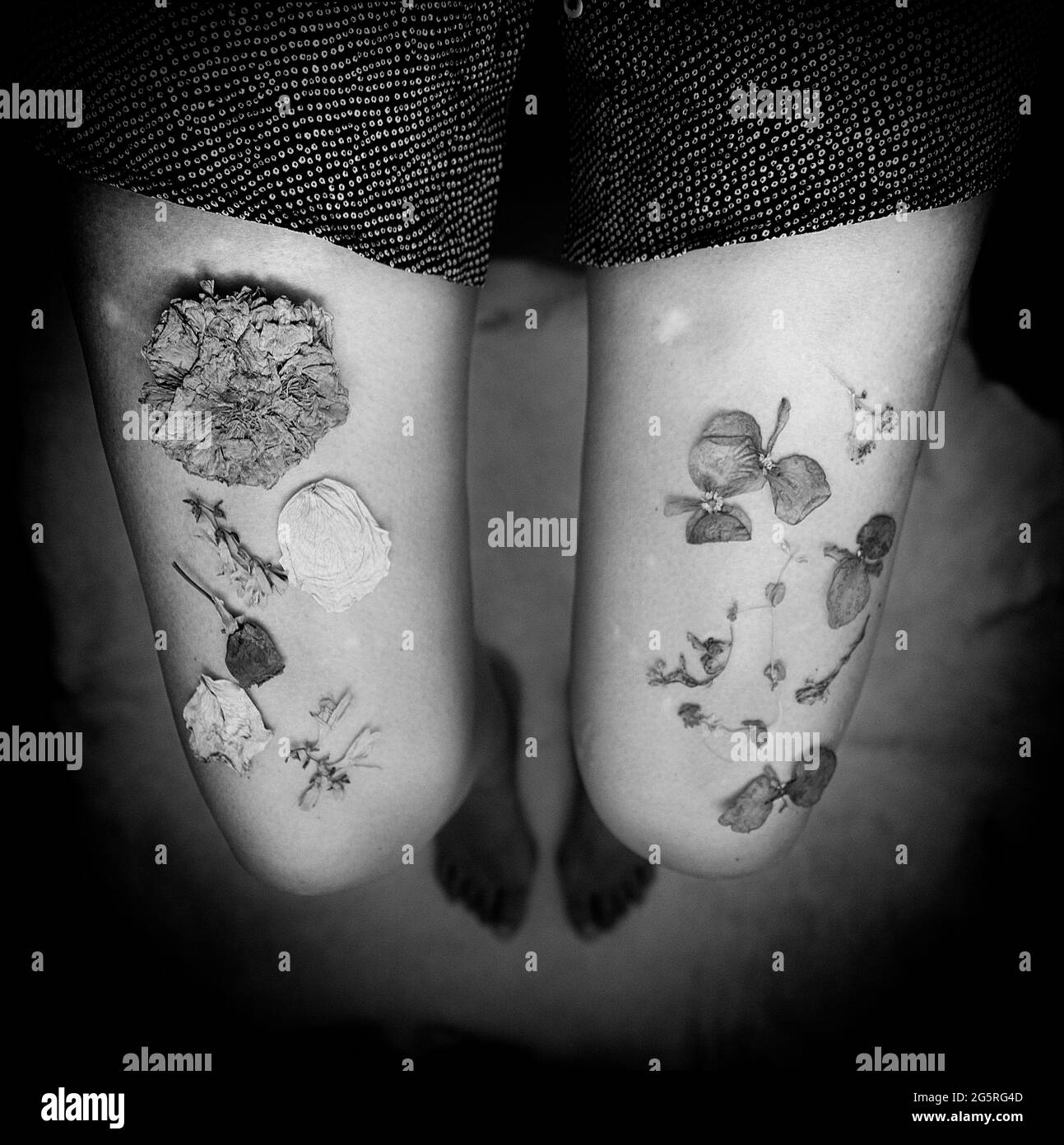 Beauty legs woman flowers hi-res stock photography and images - Alamy