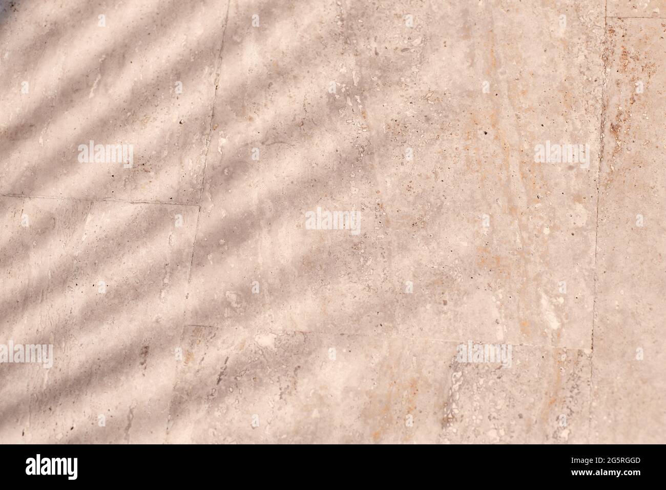 Tropical tenderness palms shades texture on beige natural stone wall ...