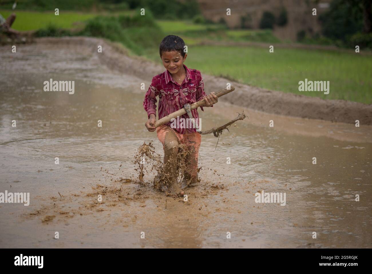 A kid plays with the mud in the paddy field on the National paddy day ...