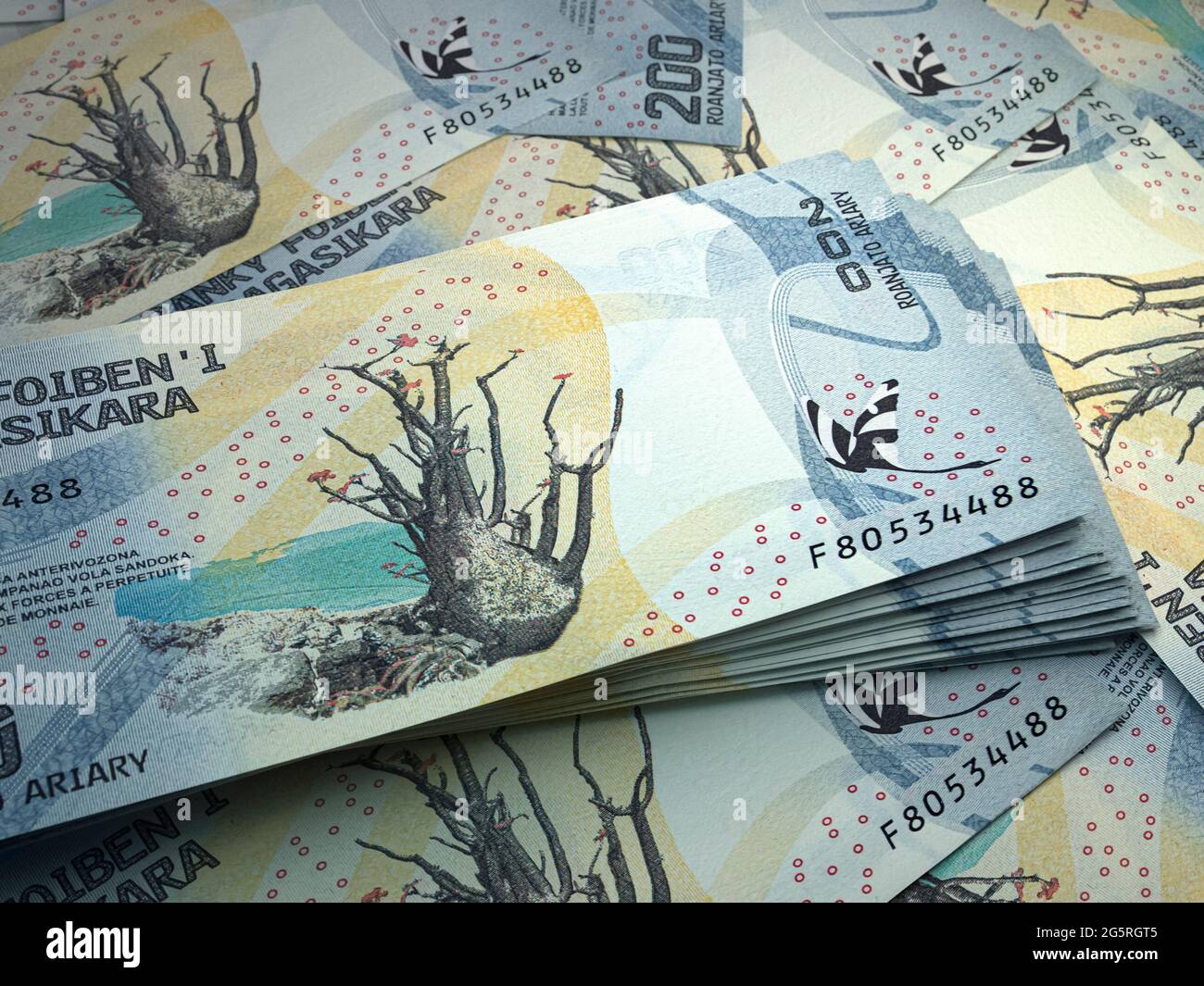 Money of Madagascar. Malagasy ariary bills. MGA banknotes. 200 ariary ...