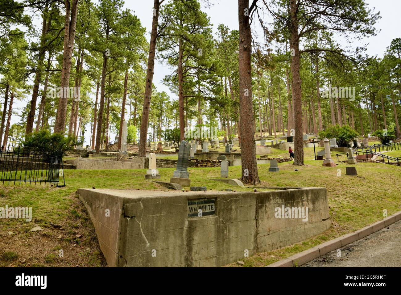 Green Pine trees and grass around cemetery plots or cemetery headstones ...