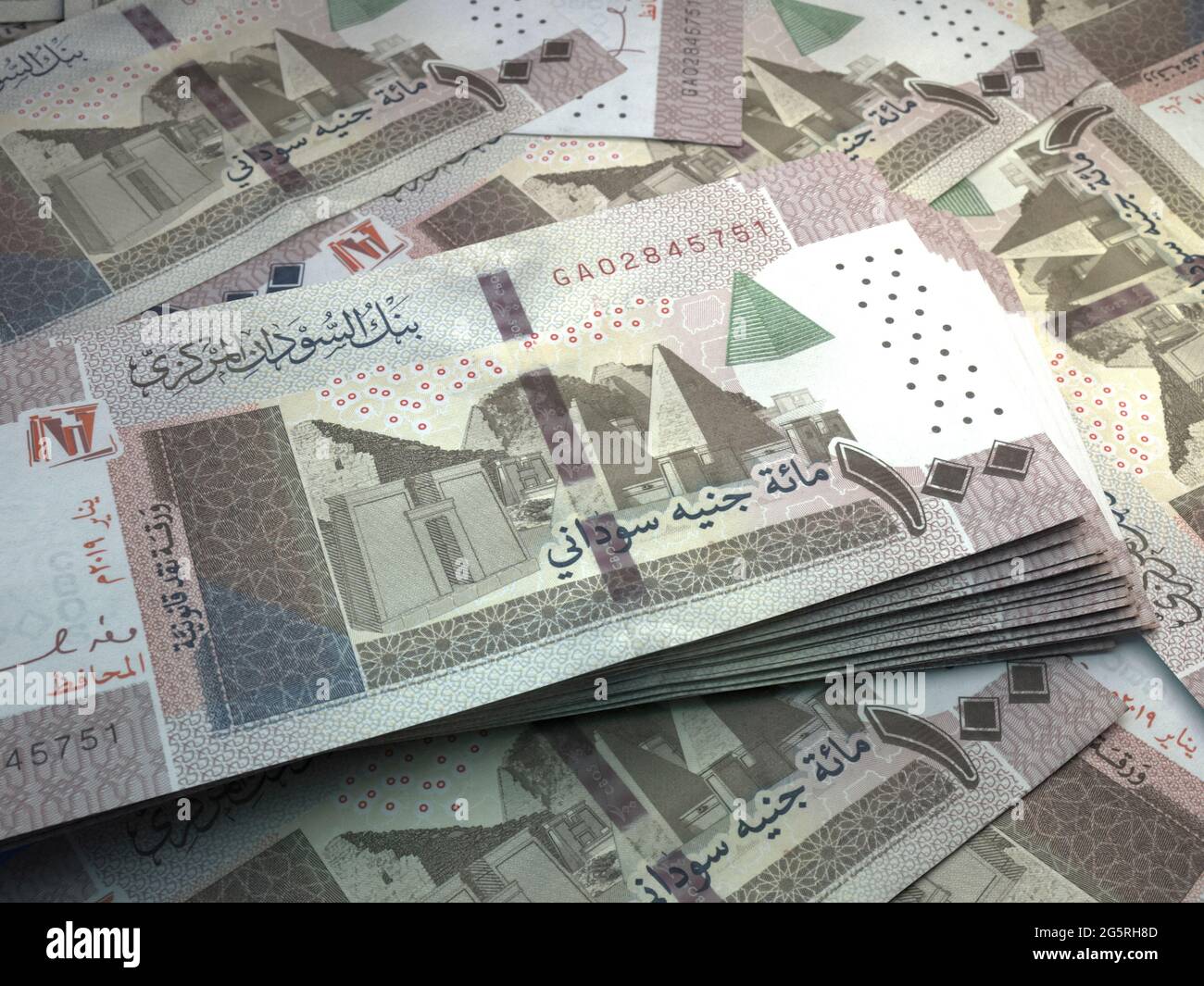 Money of Sudan. Sudanese pound bills. SDG banknotes. 100 pounds ...