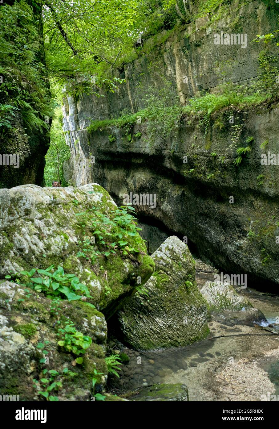 beautiful waterfall in the gorge Stock Photo - Alamy