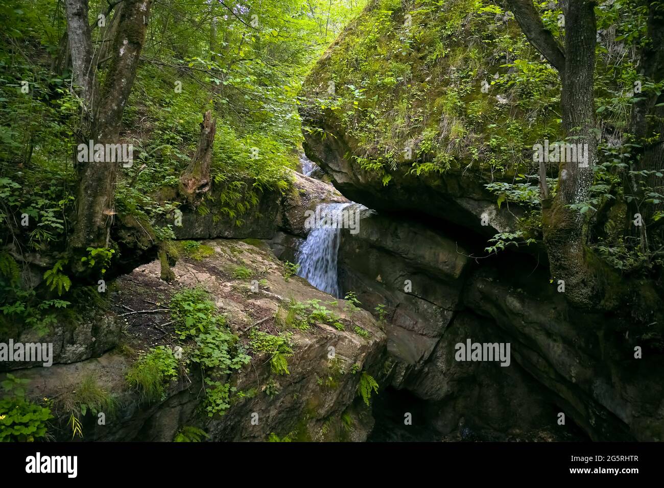 beautiful waterfall in the gorge Stock Photo - Alamy