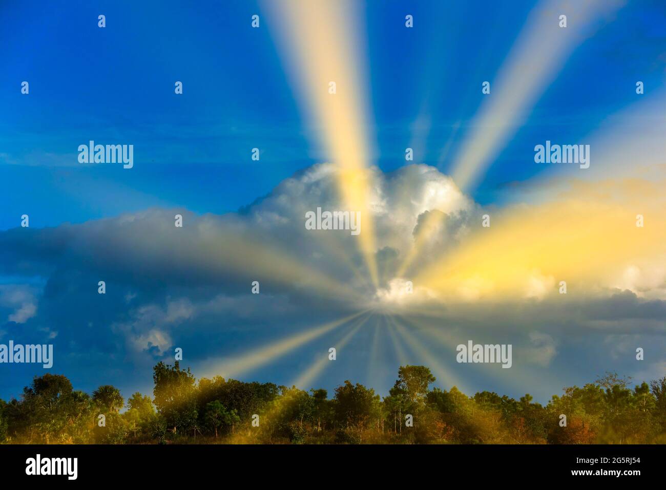 sunrise with sunrays and clouds *** Local Caption *** sun ray,sunrise ...