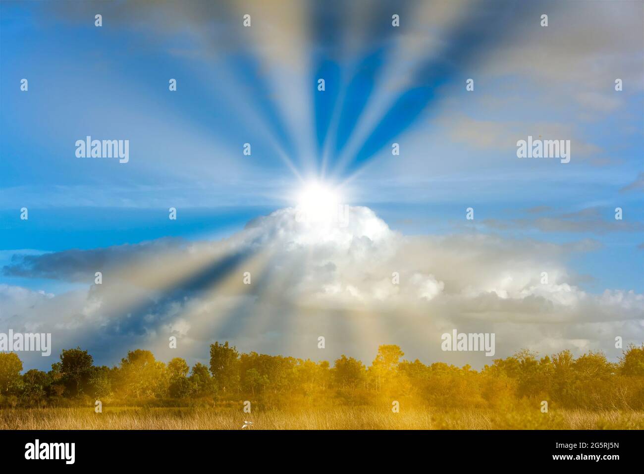 sunrise with sunrays and clouds *** Local Caption *** sun ray,sunrise,beam,sky,clouds,blue Stock ...