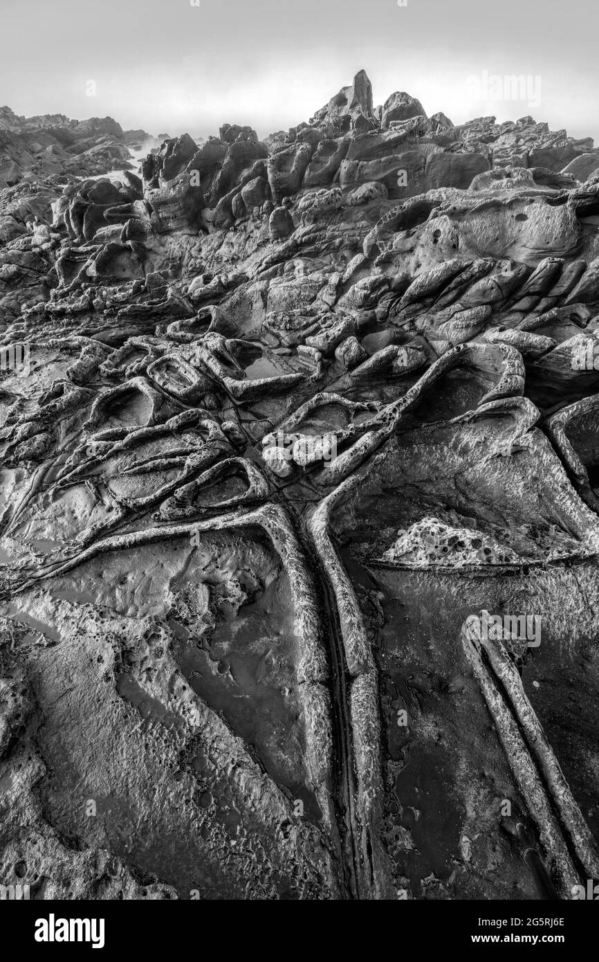 USA, California,North Coast, Sonoma County, Salt Point State Park Stock ...