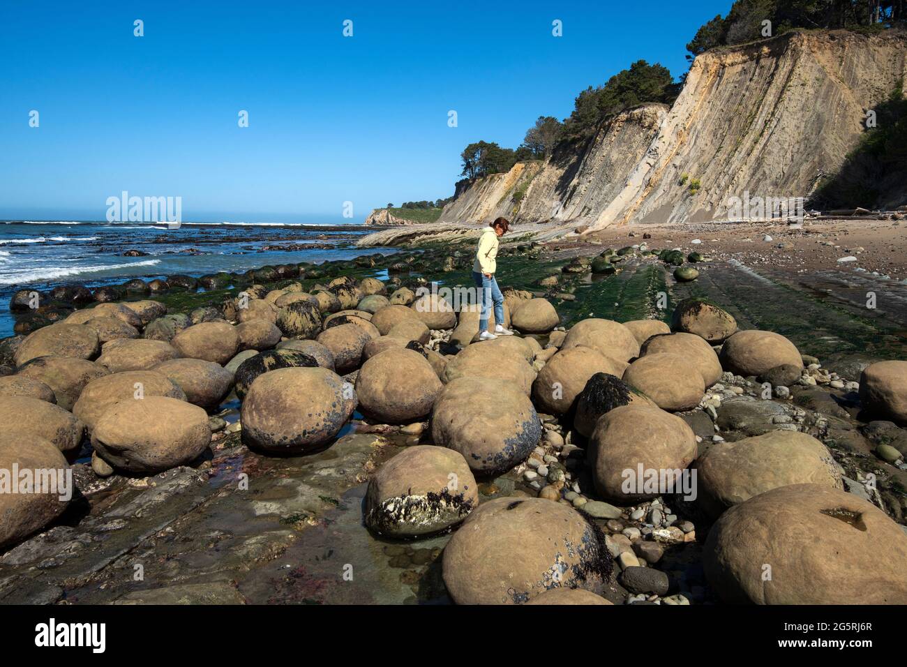 USA, California,North Coast, Mendocino County, Salt Point State Park ...