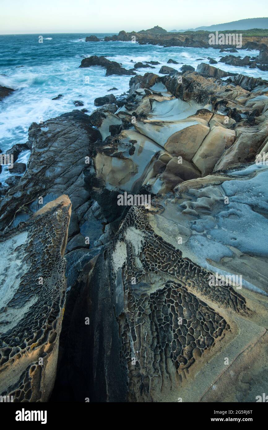 Salt point state park hi-res stock photography and images - Alamy