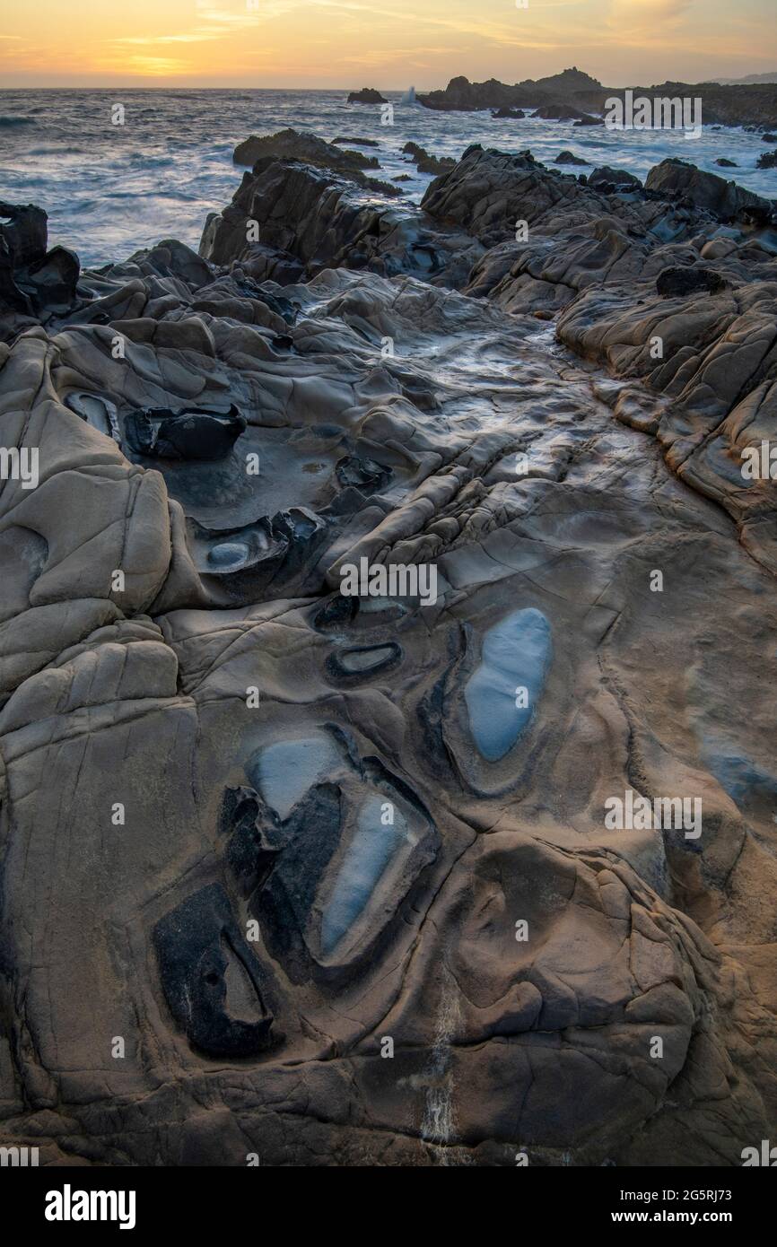 USA, California,North Coast, Sonoma County, Salt Point State Park Stock ...