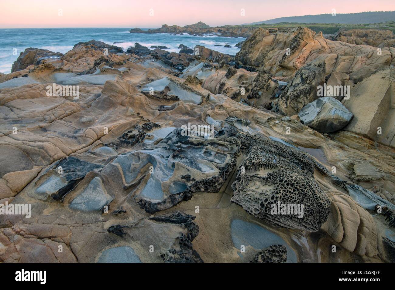 Salt point state park sonoma county hi-res stock photography and images ...