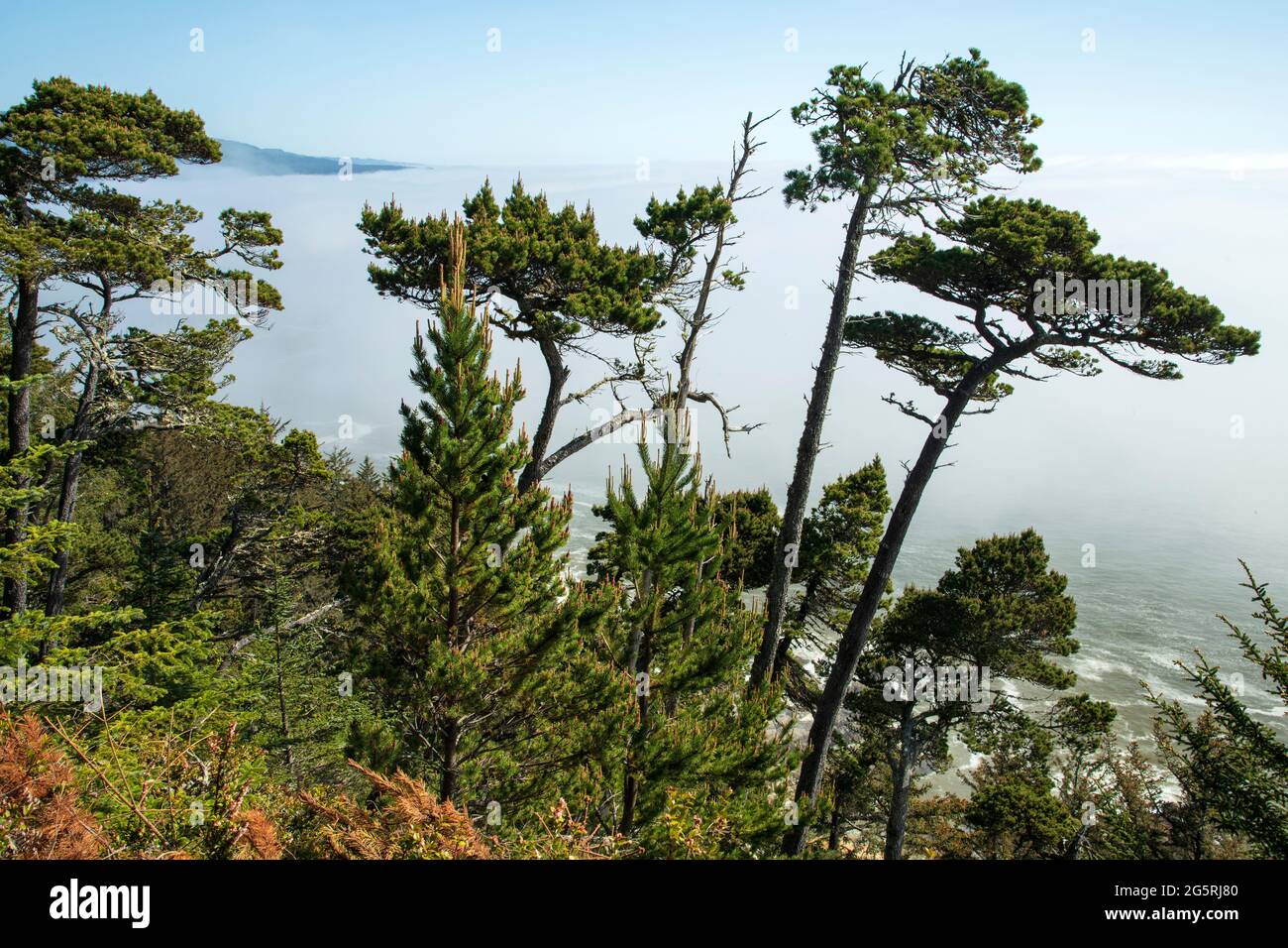 USA, Pacific Northwest, Oregon, South Coast, Cape Sebastian, Scenic ...