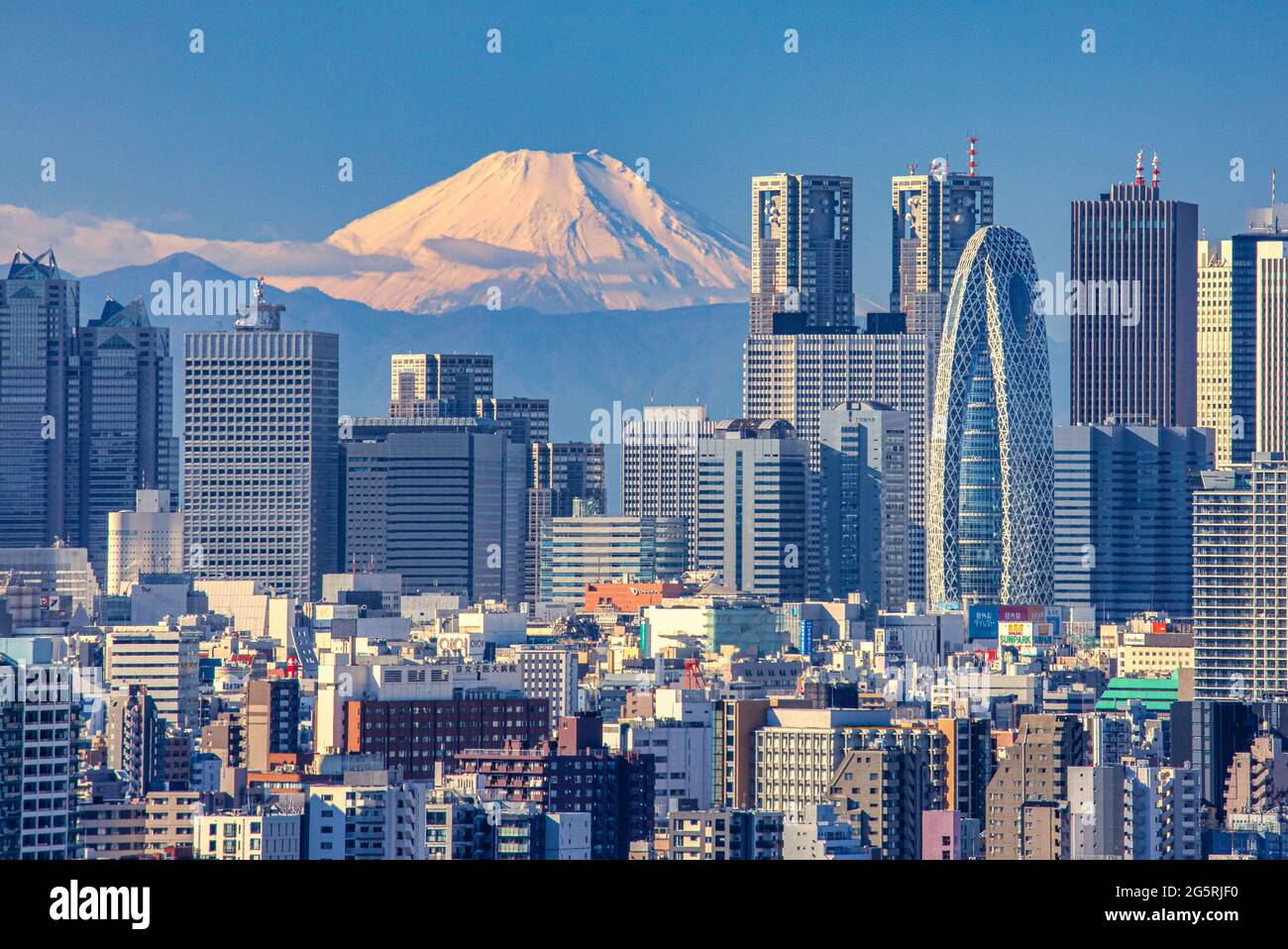 Shinjuku skyline hi-res stock photography and images - Alamy