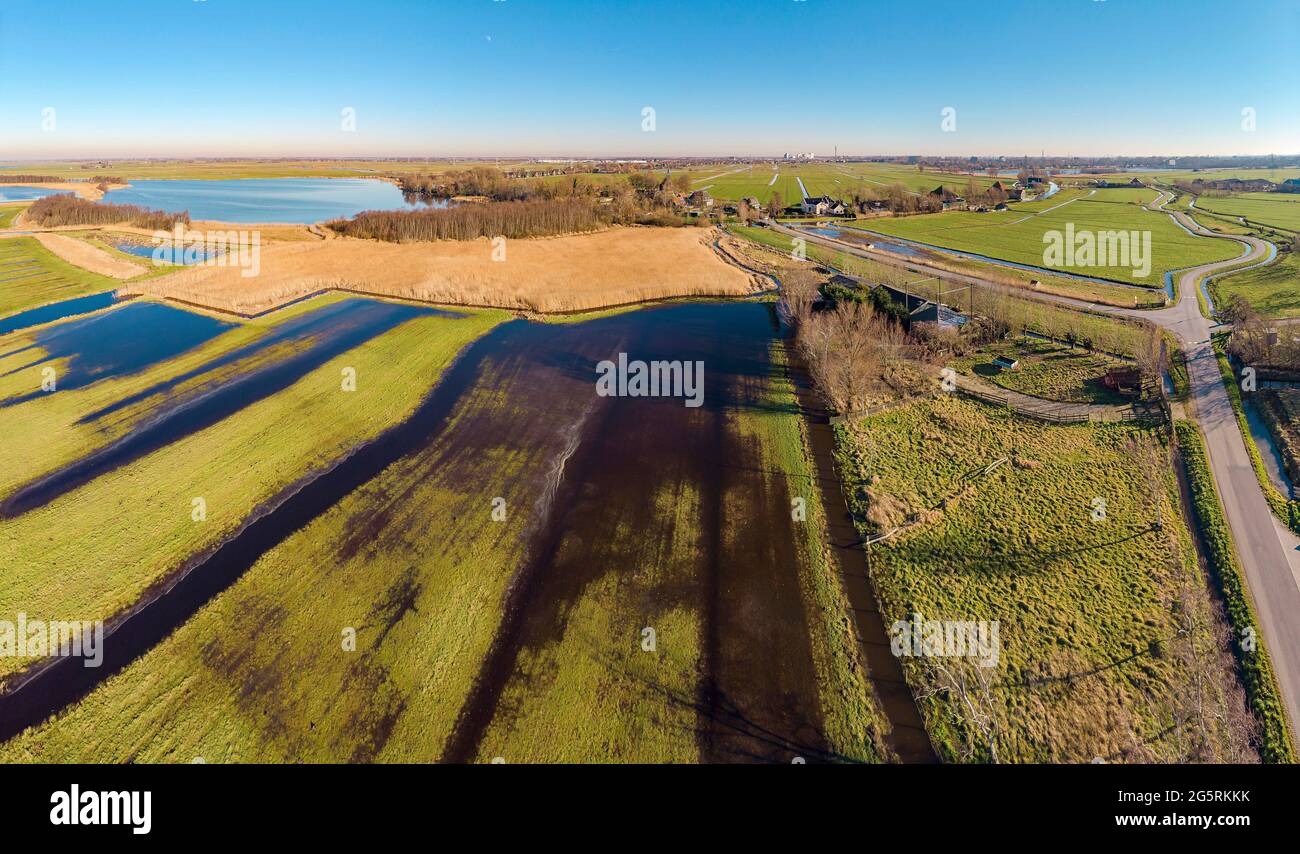 Polder area with many canals Stock Photo - Alamy