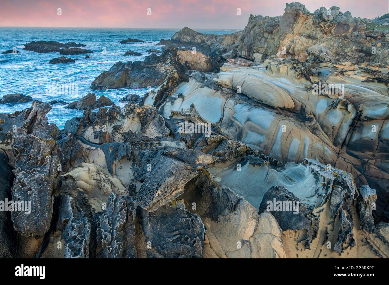 Salt point state park sonoma county hi-res stock photography and images ...