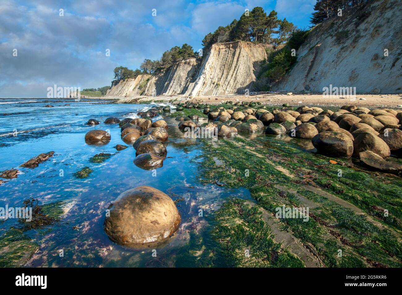 USA, California,North Coast, Mendocino County, Salt Point State Park ...