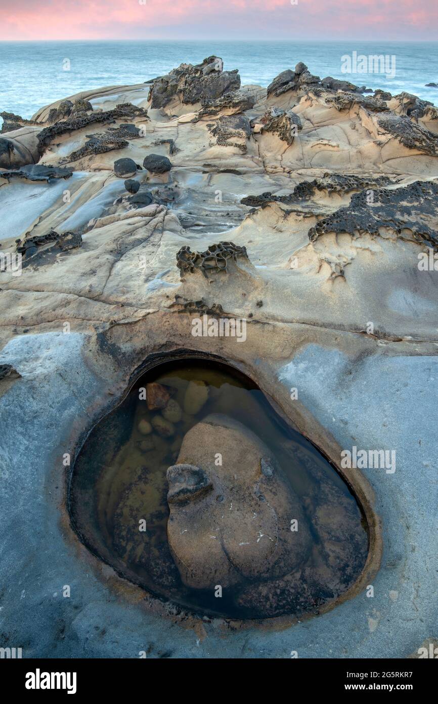 USA, California,North Coast, Sonoma County, Salt Point State Park, tide ...