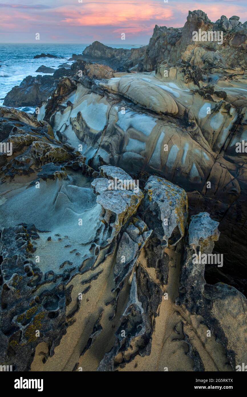 Salt point state park sonoma county hi-res stock photography and images ...