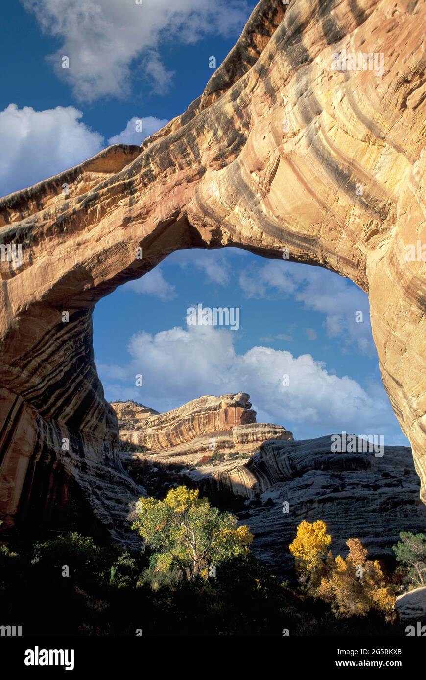 USA, Southwest, Colorado Plateau, Utah, Natural Bridges National ...
