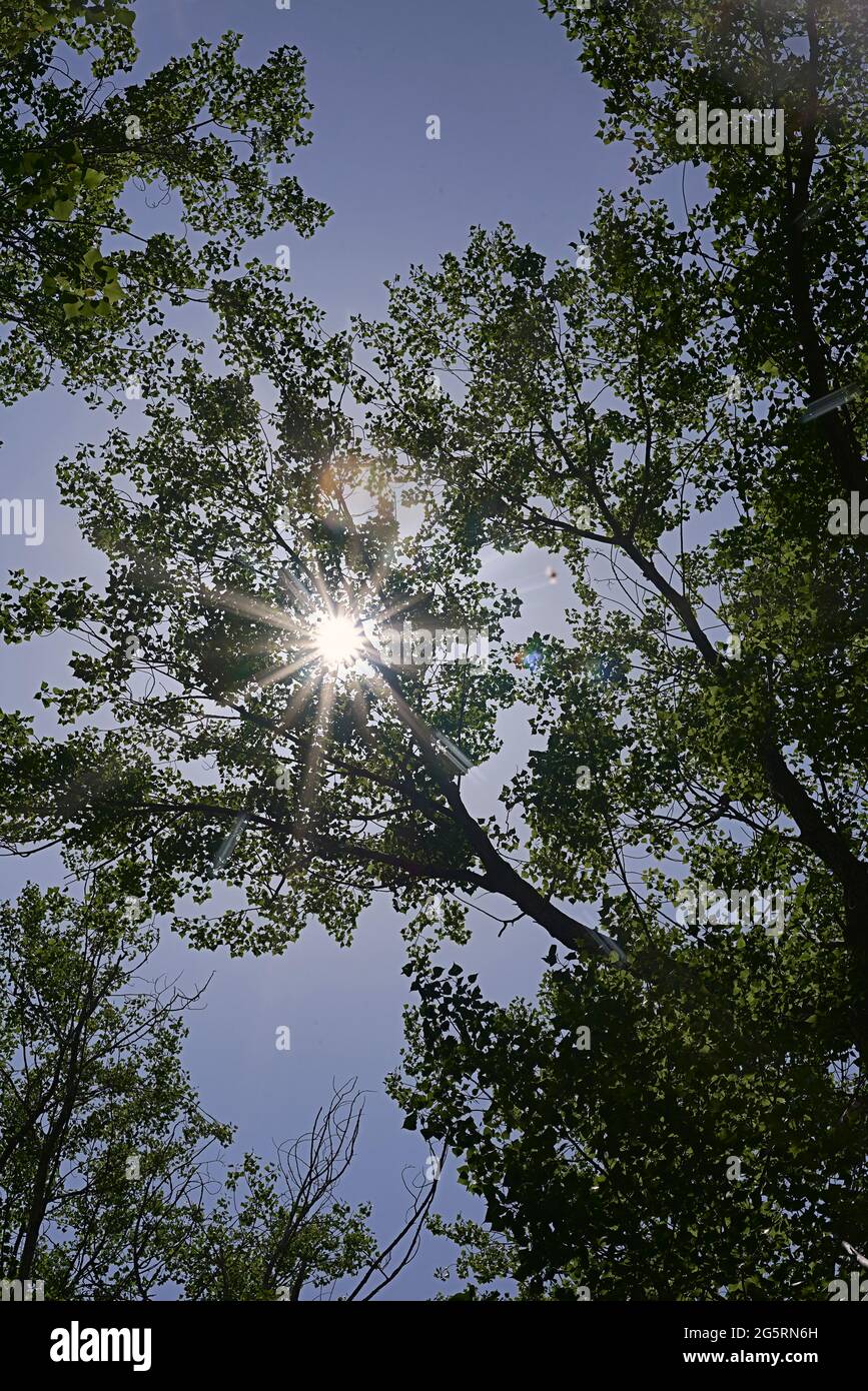 Sunbeam sundown hi-res stock photography and images - Alamy