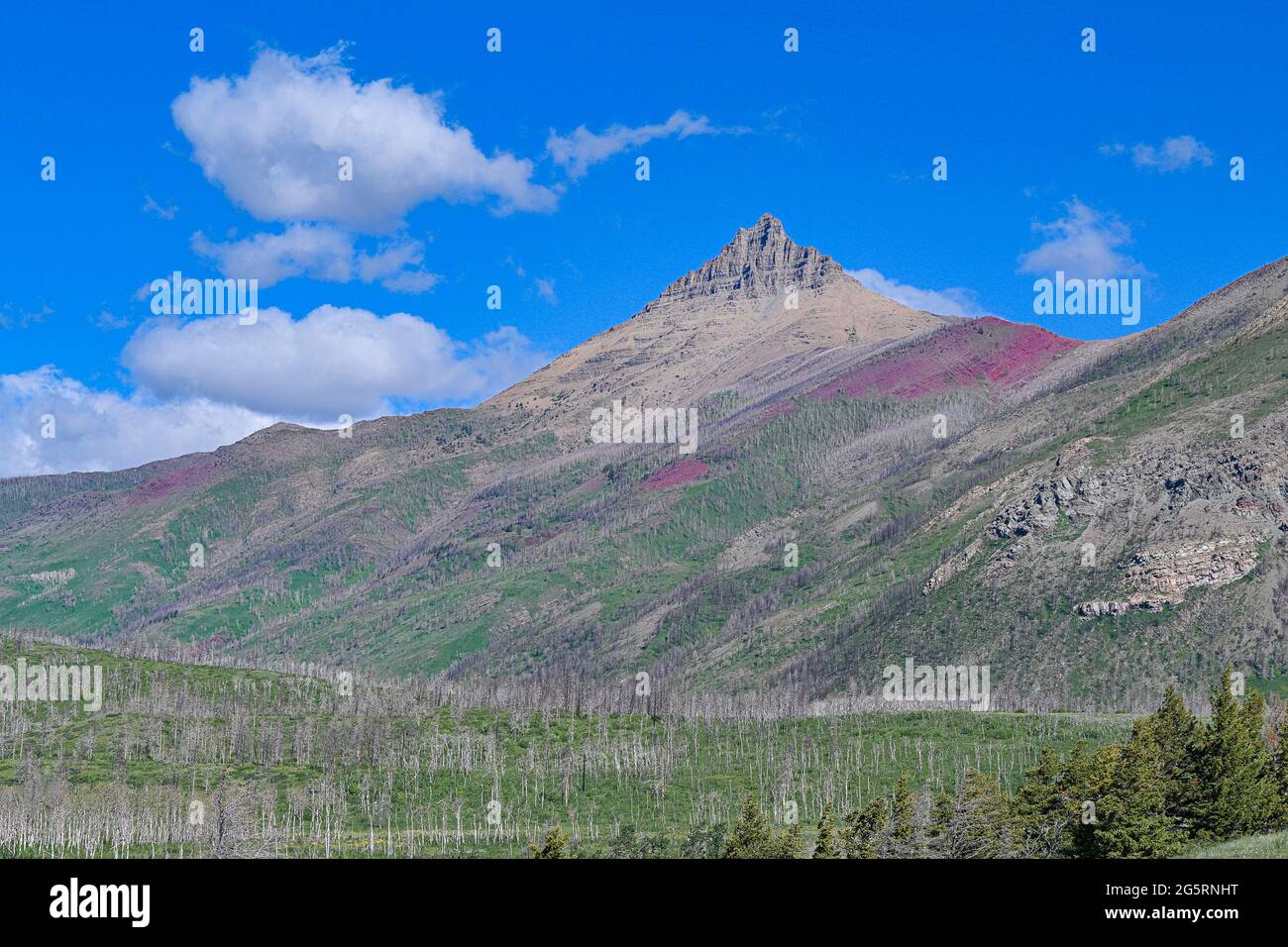 Mount Galwey, Waterton National Park, Alberta, Canada Stock Photo - Alamy