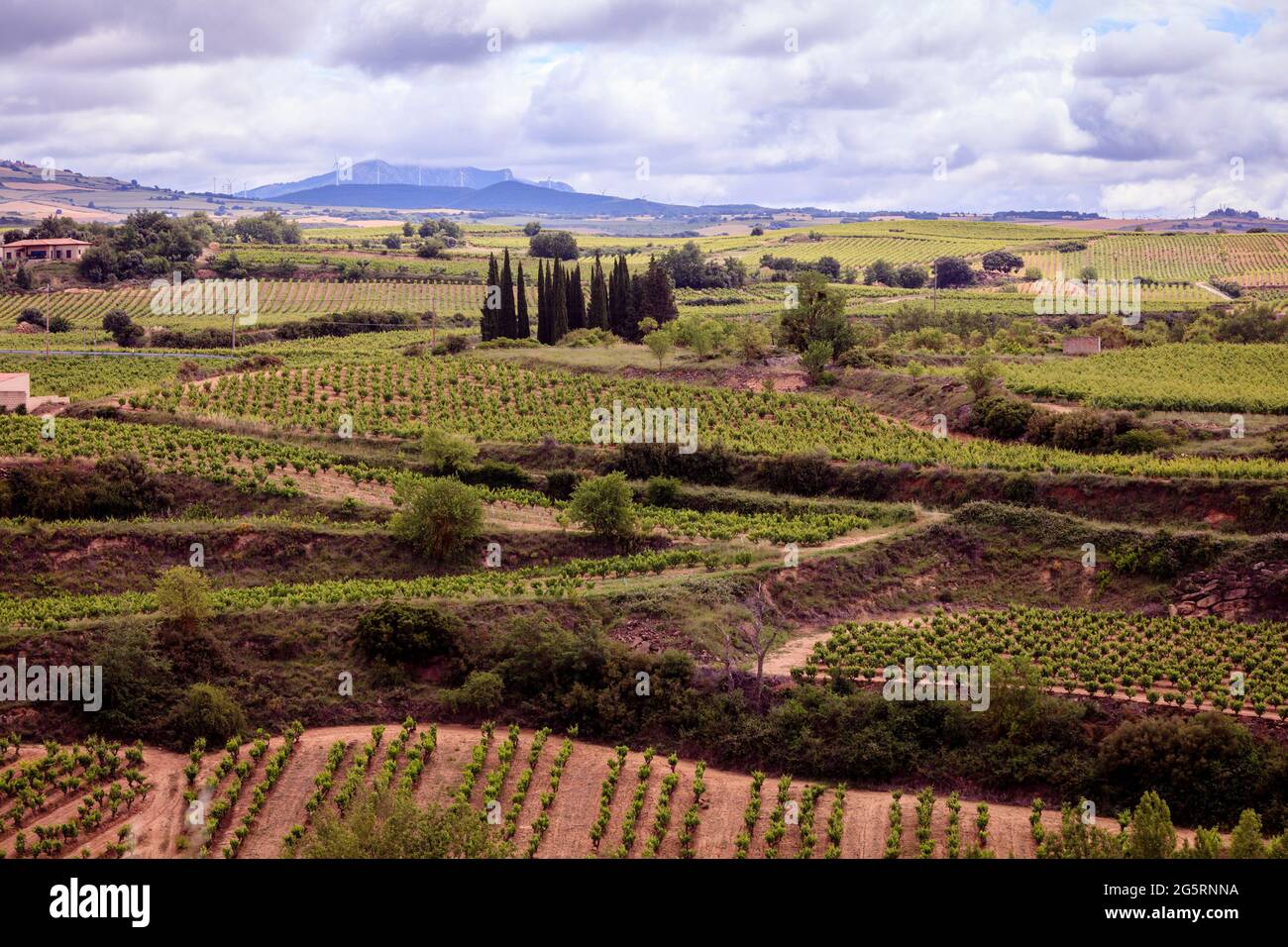 Wine rioja vineyards hi-res stock photography and images - Alamy