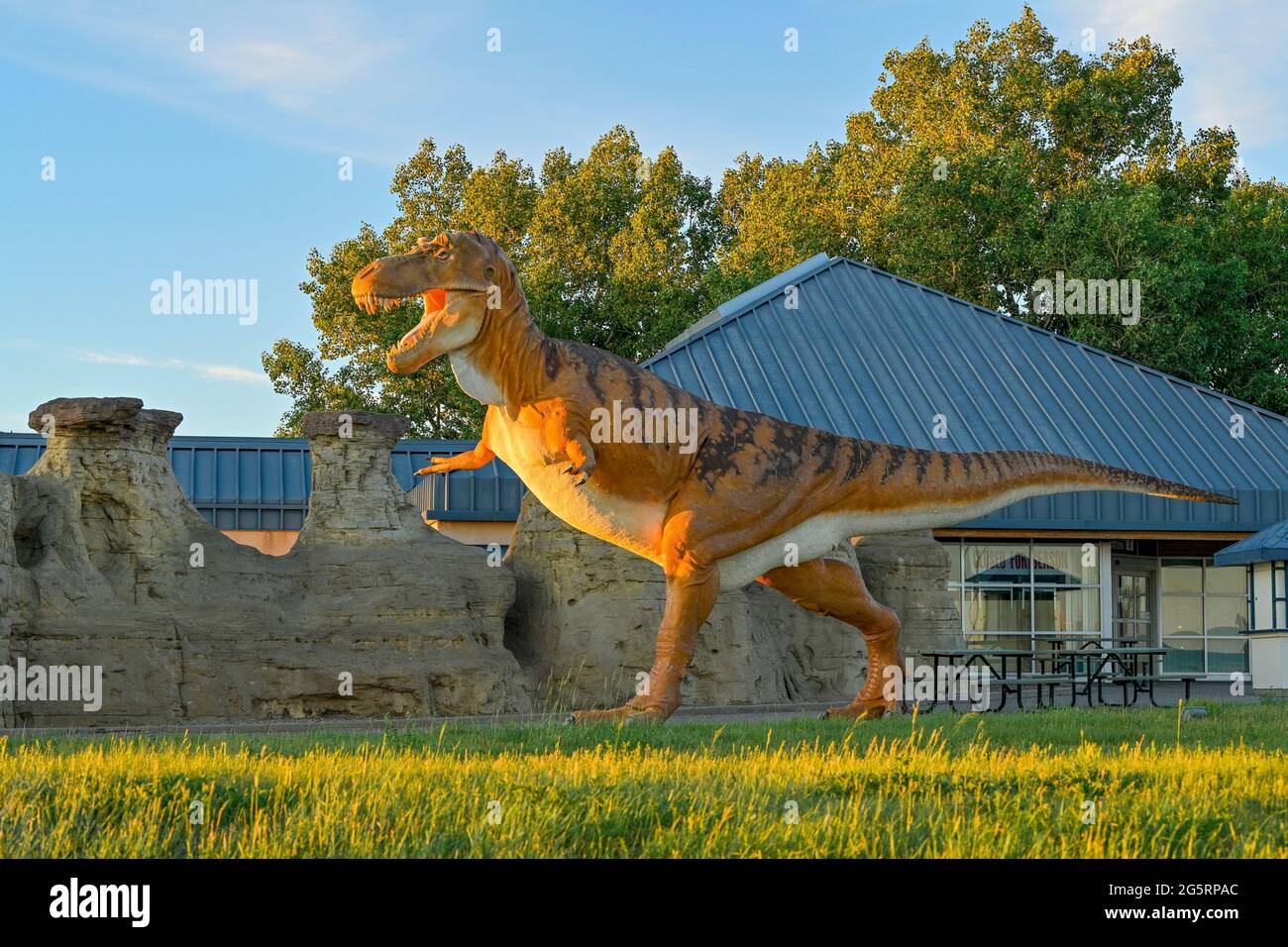 Life sized Tyrannosaurus Rex, Visitors Centre, Milk River, Alberta ...