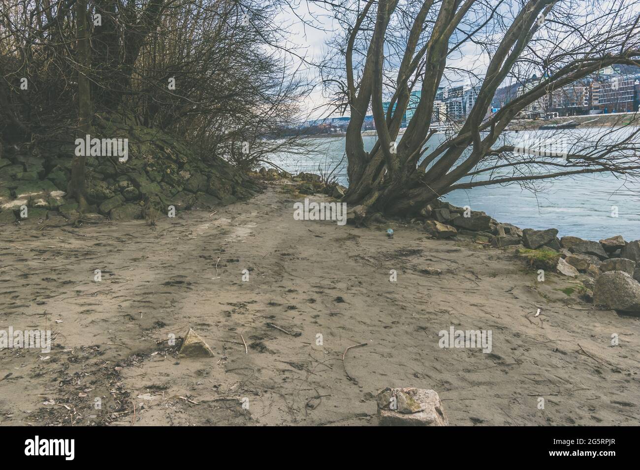 spring nature, tree and river Stock Photo - Alamy