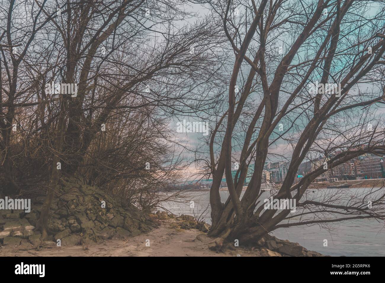 spring nature, tree and river Stock Photo - Alamy