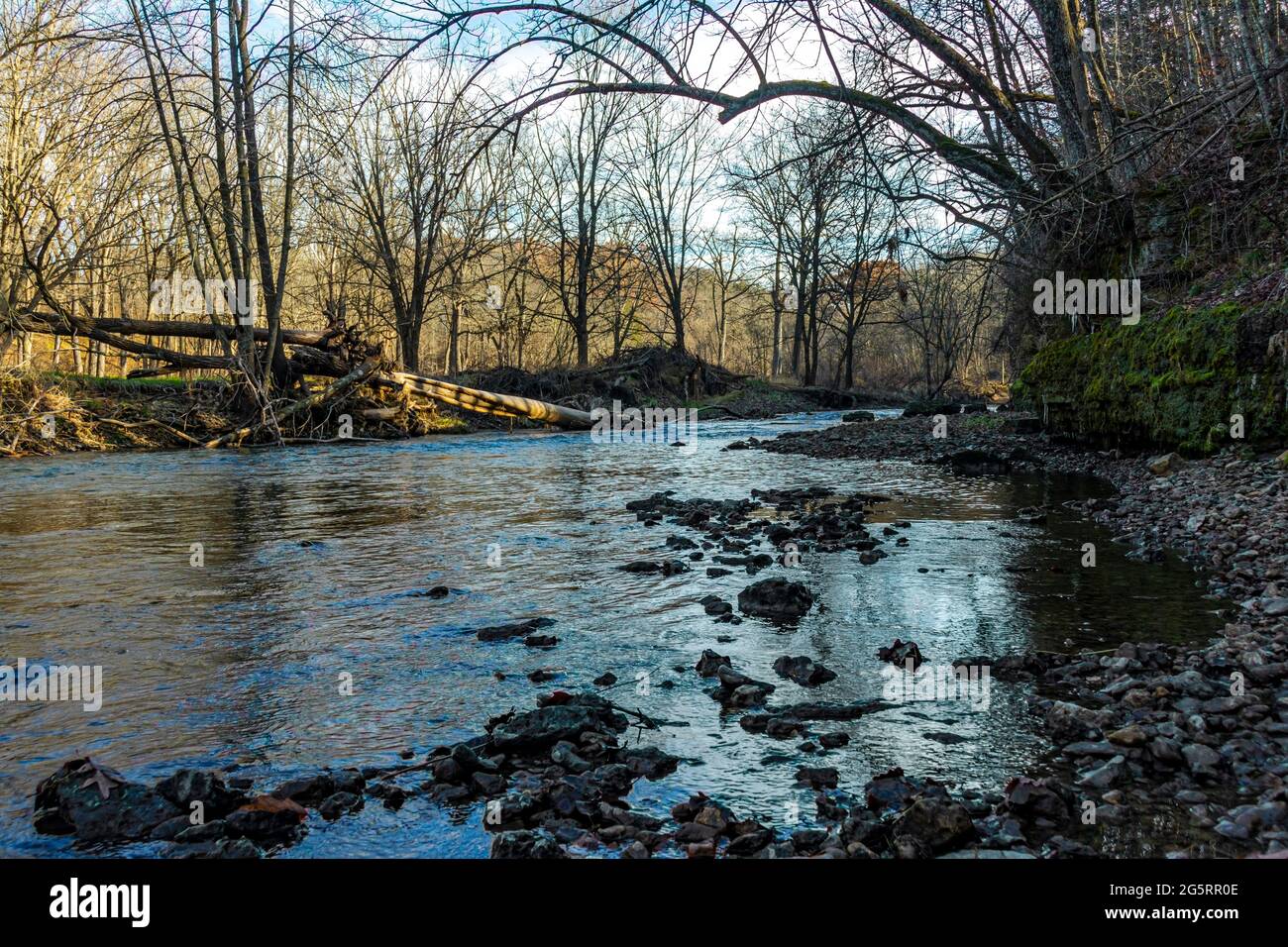 River through the forest hi-res stock photography and images - Alamy