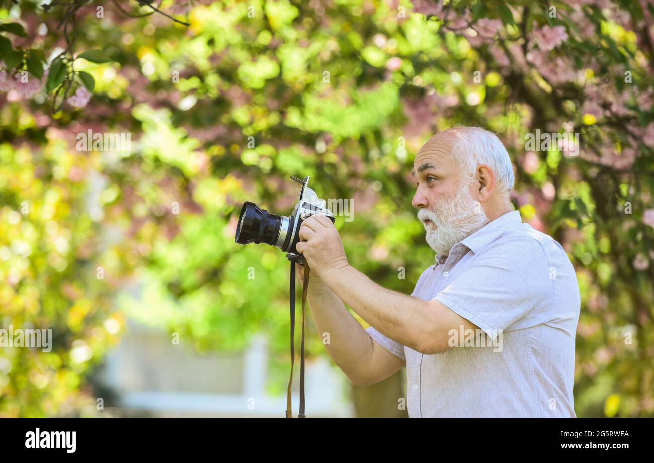 closer look. traveler camera man under sakura bloom. travel concept ...