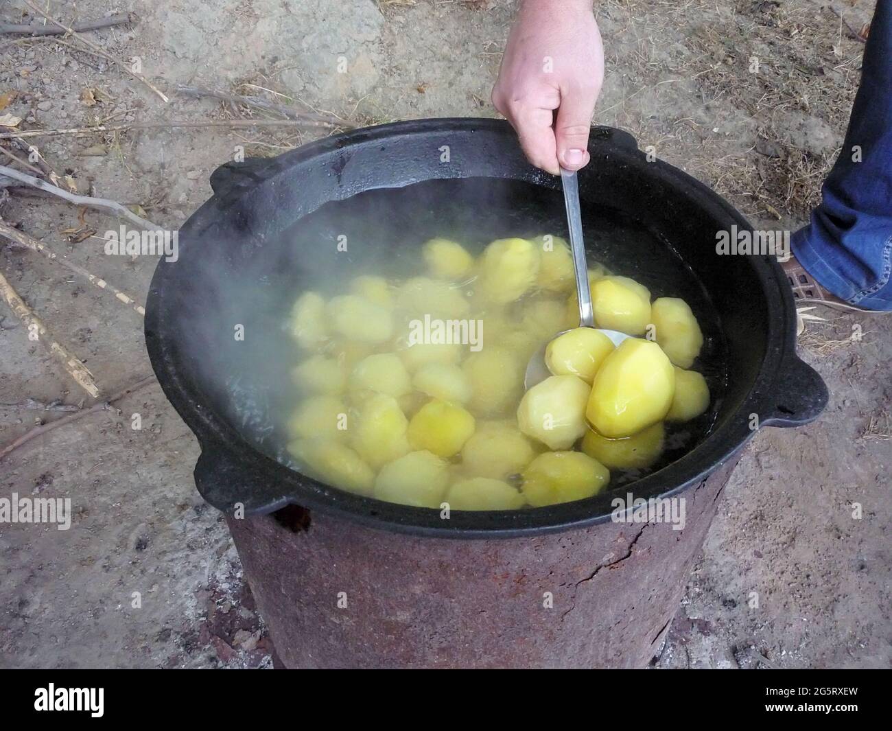 Whole peeled potatoes are cooked in water in a black cauldron on the ...