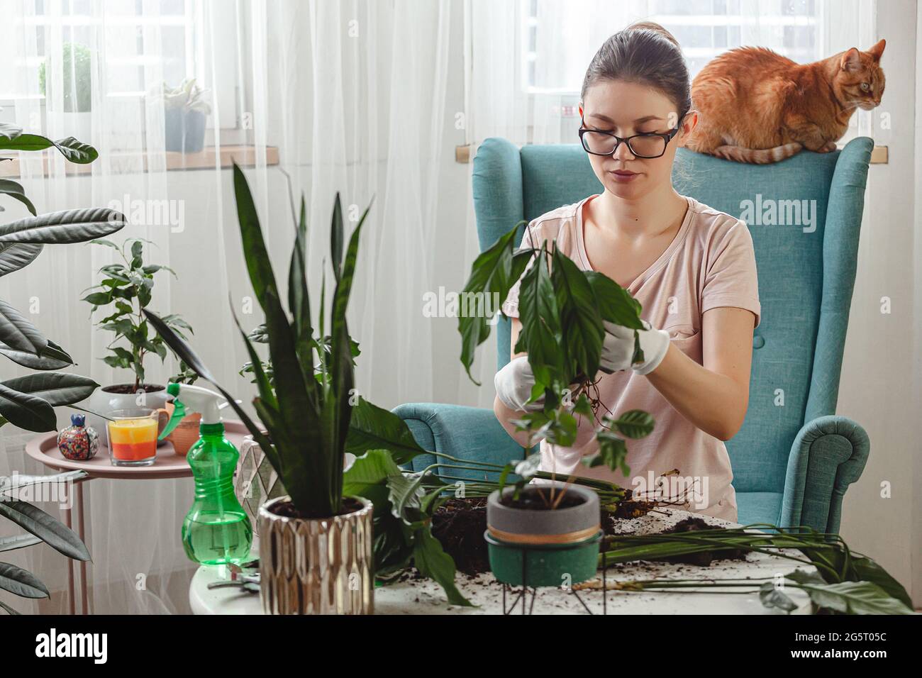 Transplanting houseplants woman gardening hi-res stock photography and ...