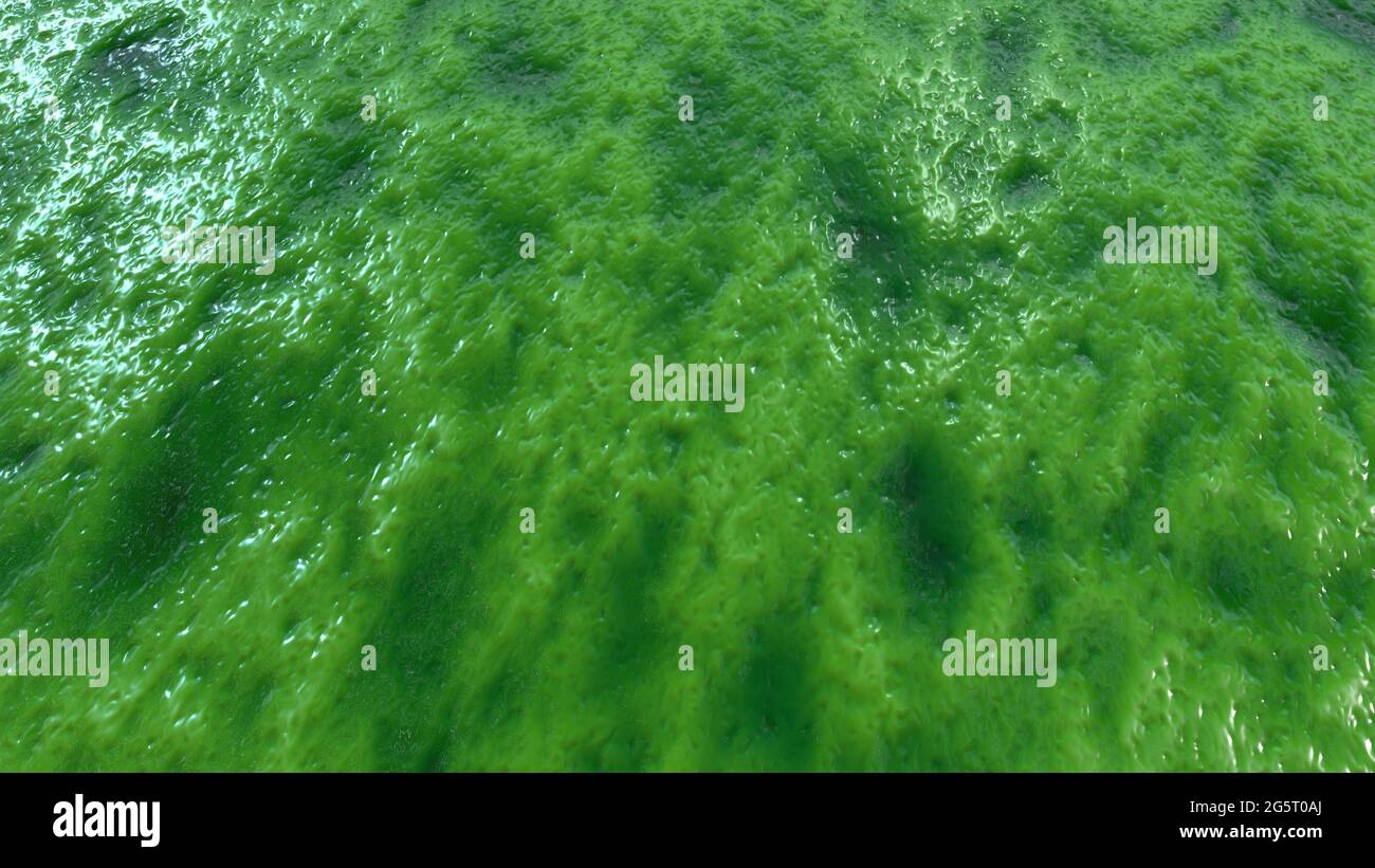 Abstract organic wet slime, biological matter background. Seething ...