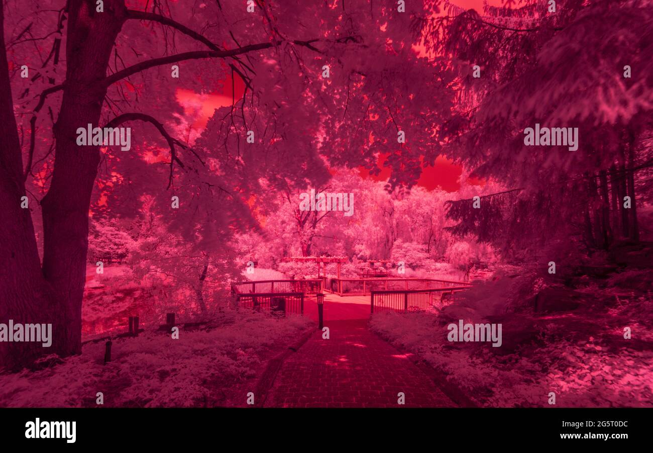 Infrared frequency hi-res stock photography and images - Alamy