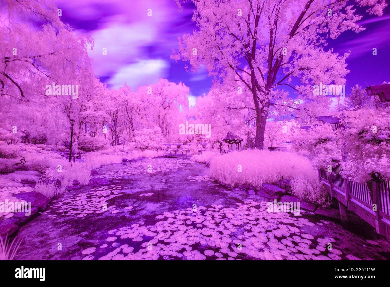 Beautiful Infrared garden Landscape image Stock Photo - Alamy