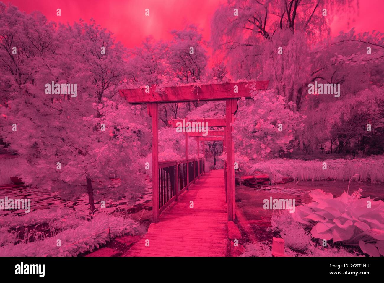 Beautiful Infrared garden Landscape image Stock Photo - Alamy