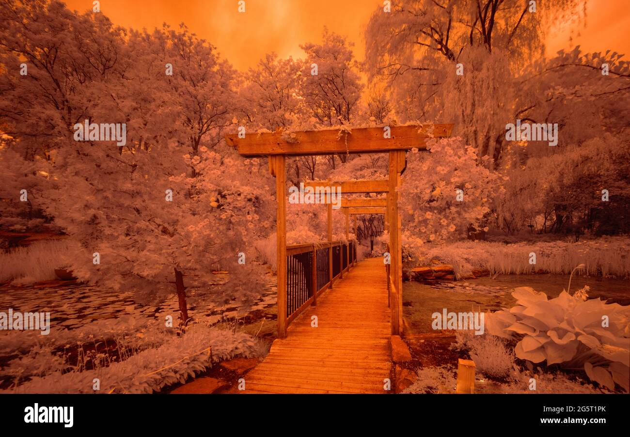 Beautiful Infrared garden Landscape image Stock Photo - Alamy