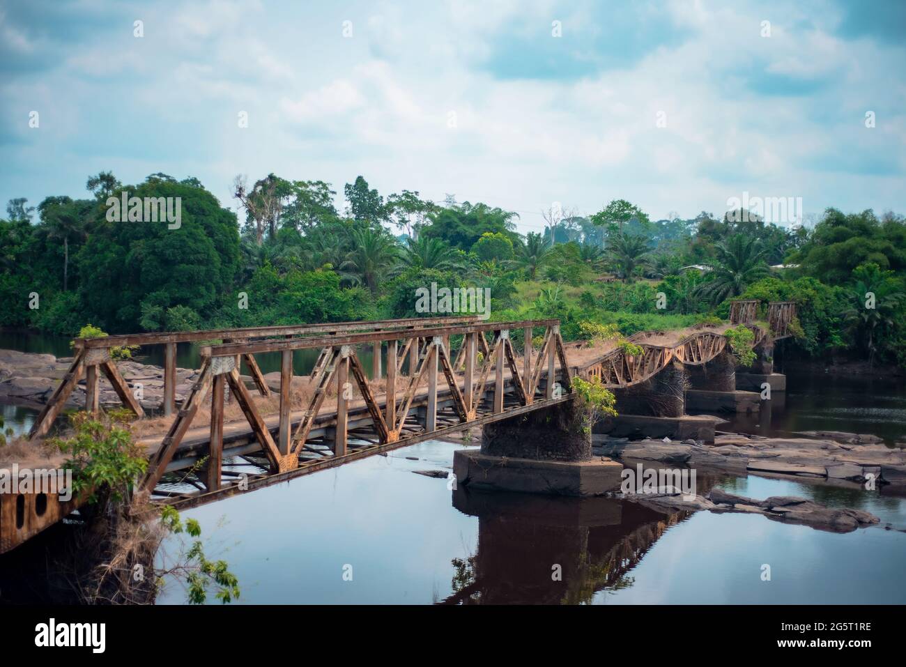 Rain rainforest bridge wood hi-res stock photography and images - Alamy