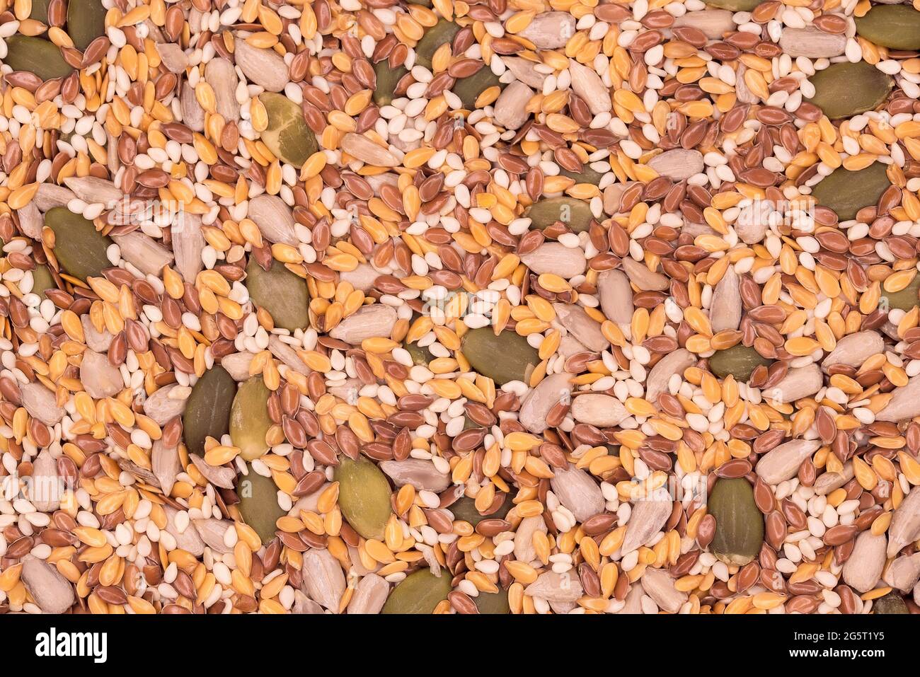 Surface of a flat seeds with sesame, flax, pumpkin and sunflower seeds ...