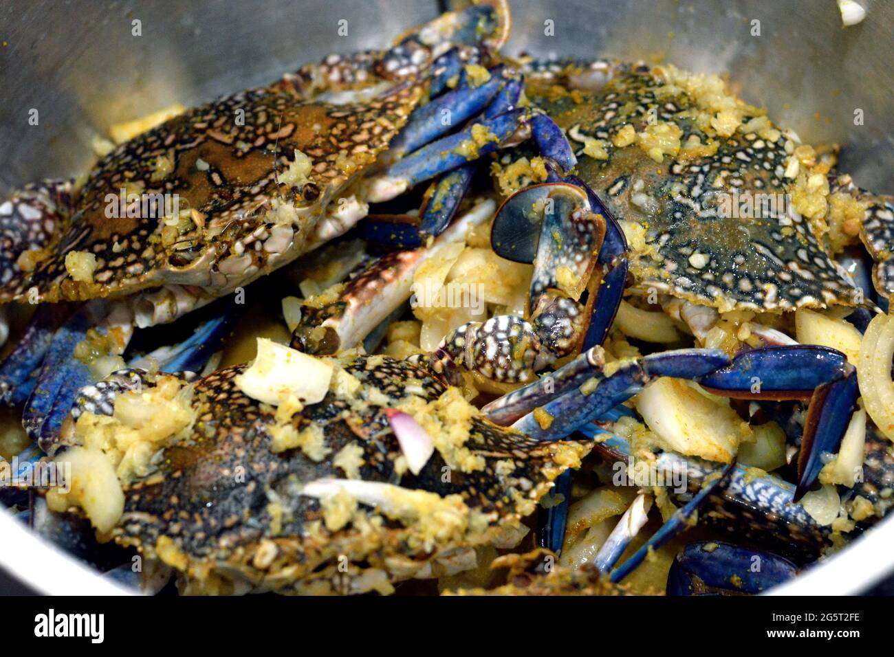 Principal crab hi-res stock photography and images - Alamy